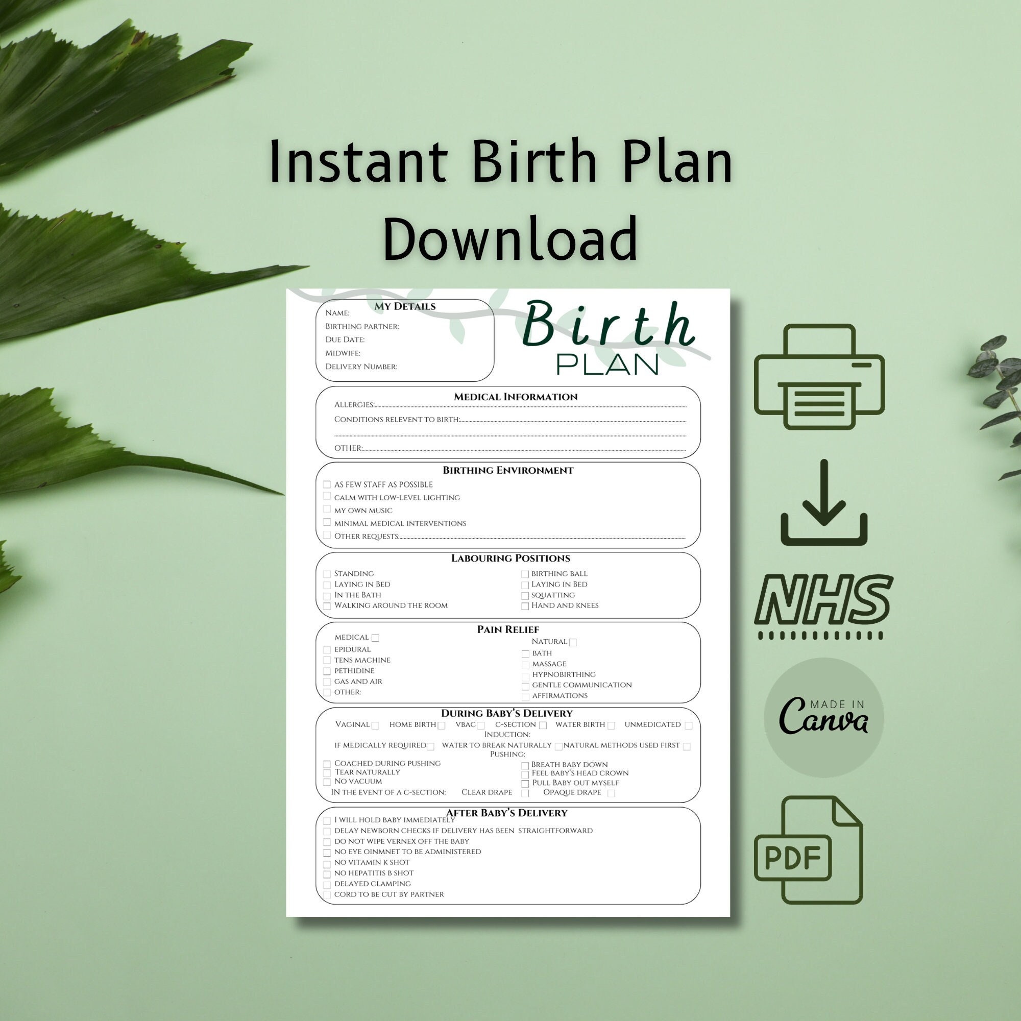 Birth Plan Template Birth Preferences Editable Plan Template Sample ...