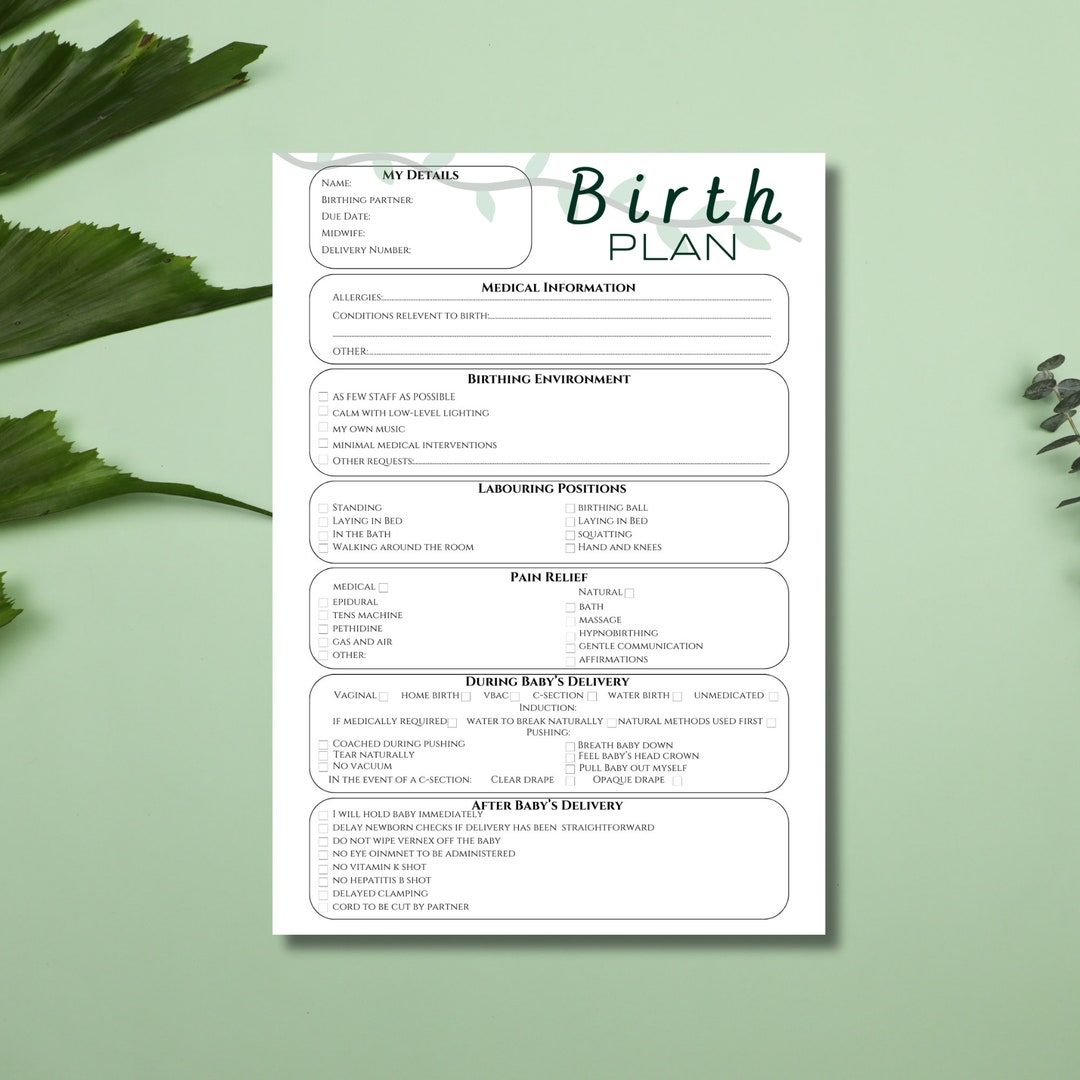 Birth Plan Template Birth Preferences Editable Plan Template Sample ...