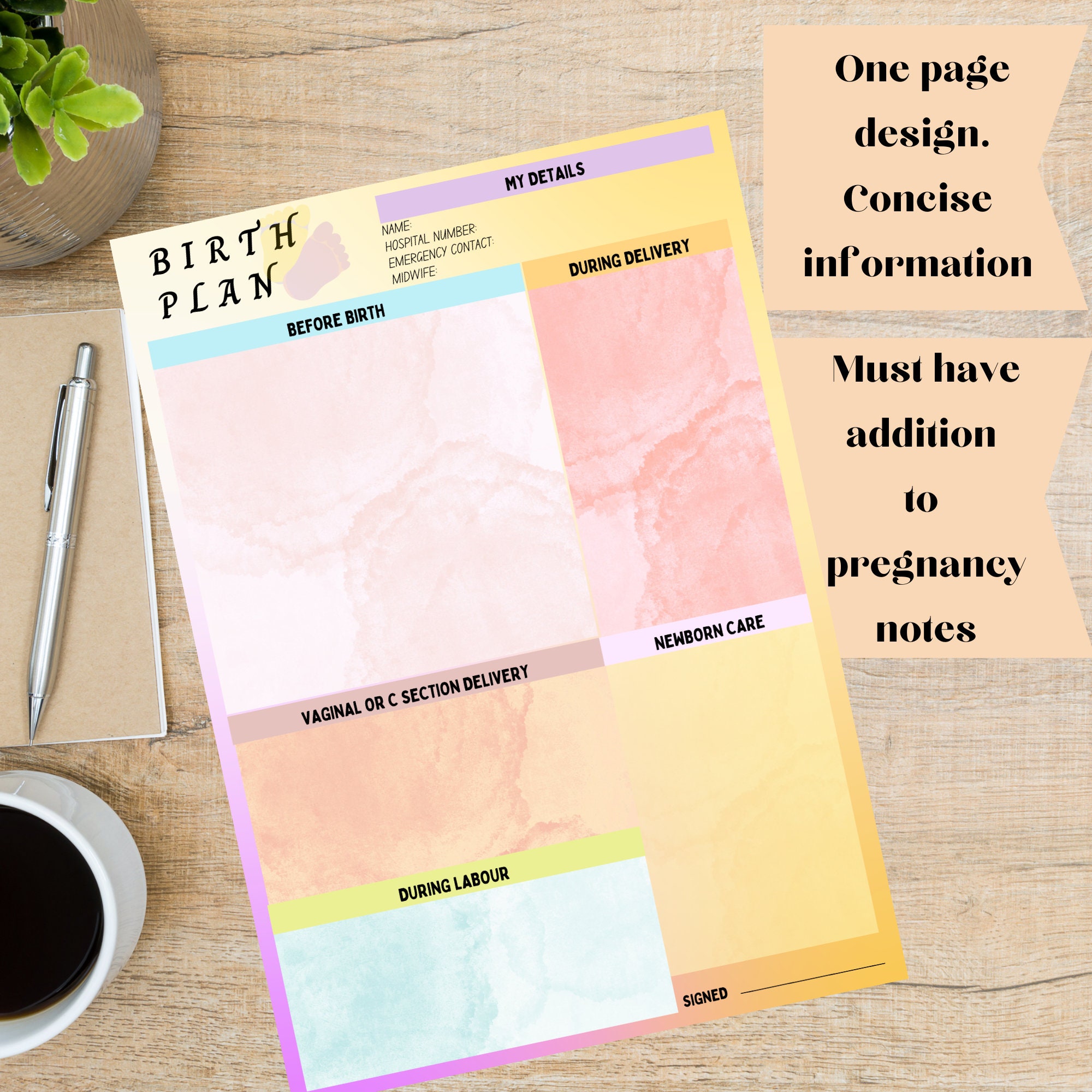 Printable Birthing Plan Editable Birth Plan Template Labour - Etsy