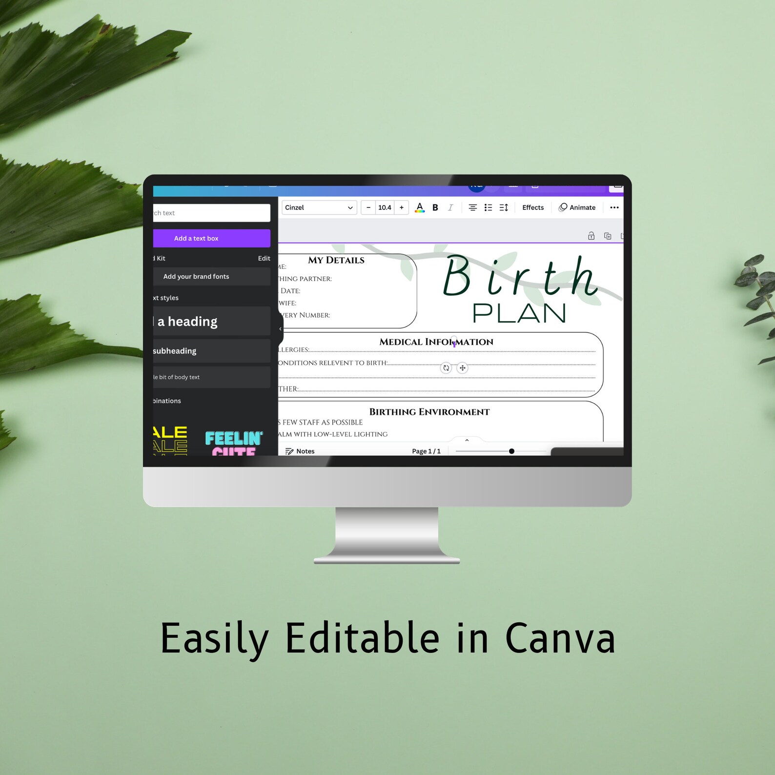 Birth Plan Template Birth Preferences Editable Plan Template Sample ...