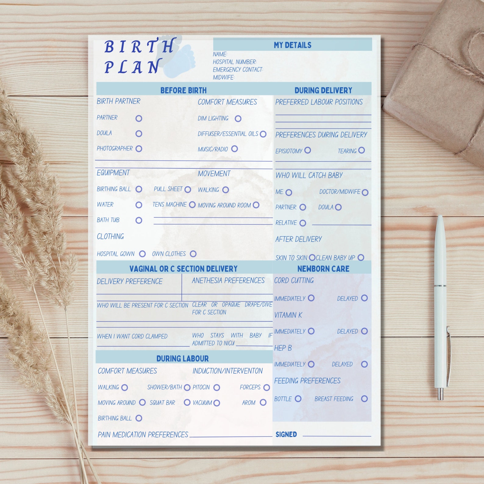 Printable Birthing Plan, Editable Birth Plan Template, Labour and ...