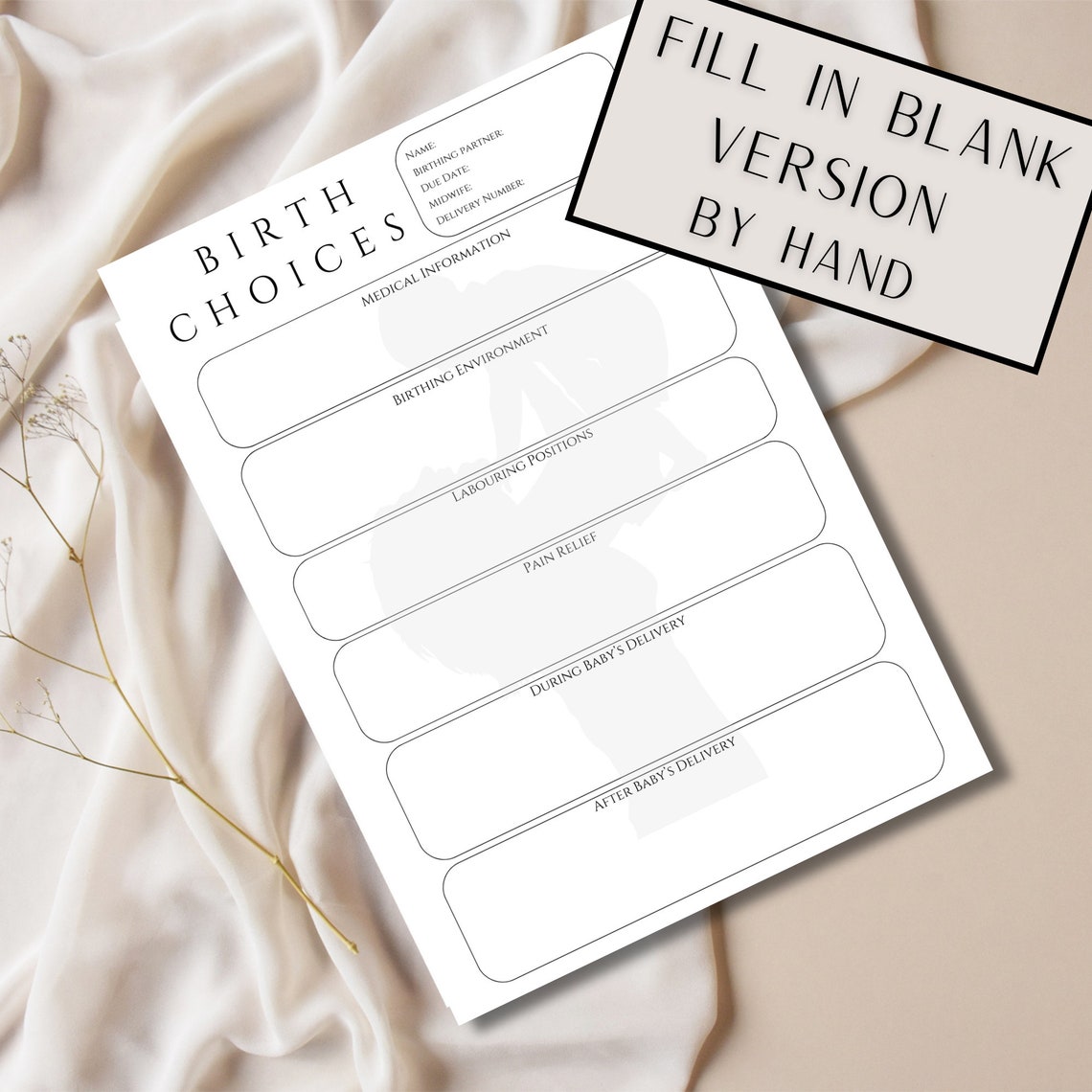 Birth Plan Template Editable Printable Birthing Plan Printable Birthing ...