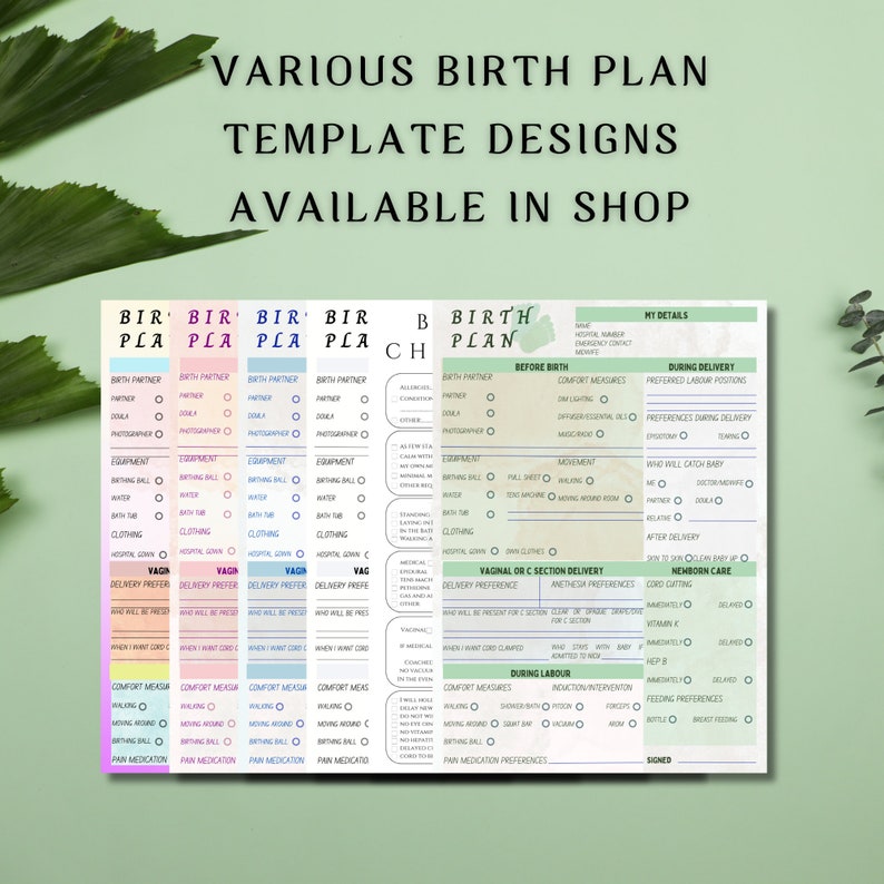 Birth Plan Template Birth Preferences Editable Plan Template Sample ...