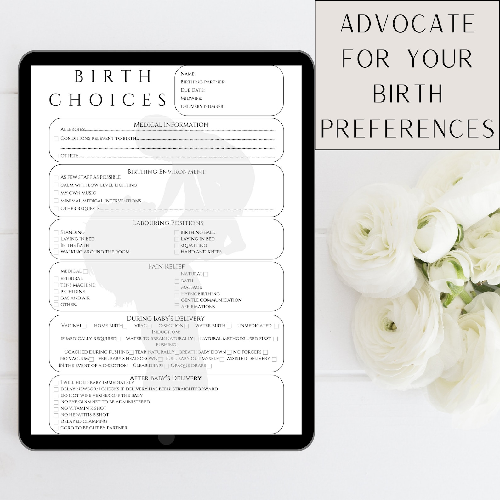 Birth Plan Template Editable Printable Birthing Plan Printable Birthing ...