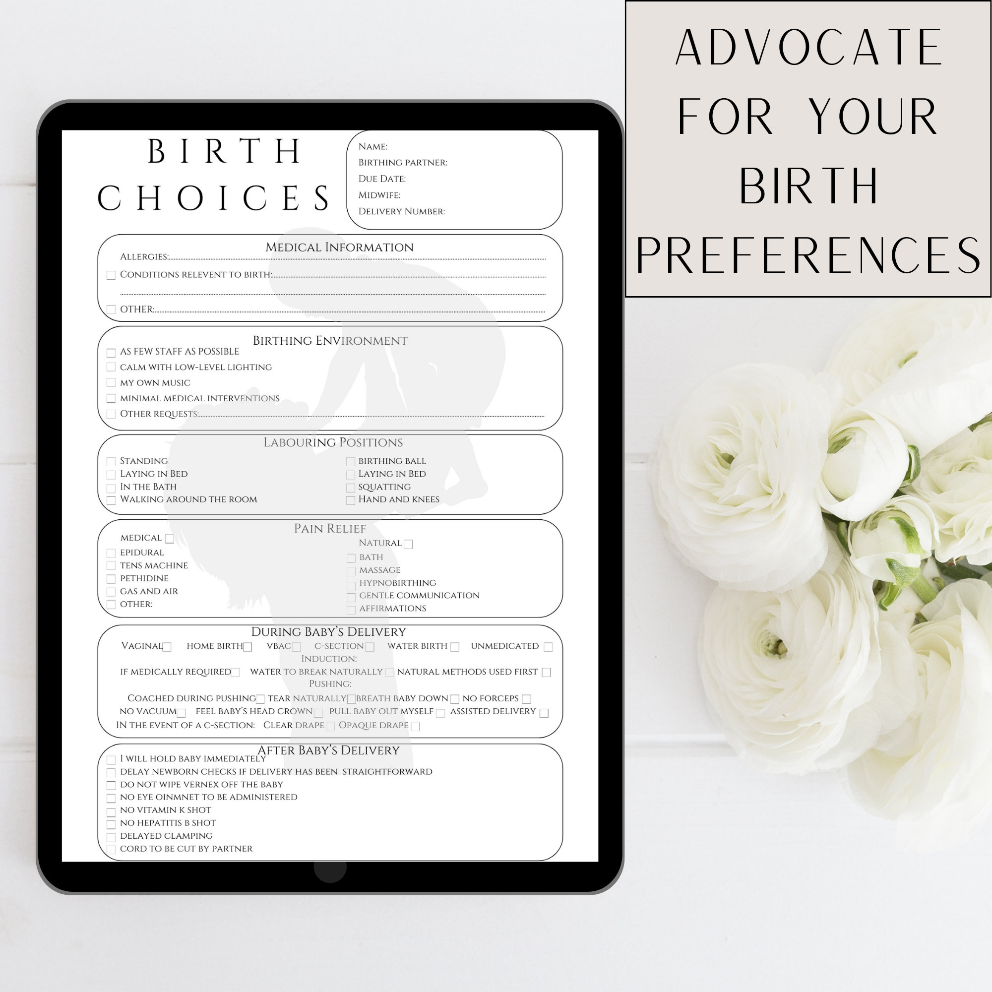 Birth Plan Template Editable Printable Birthing Plan Printable Birthing ...