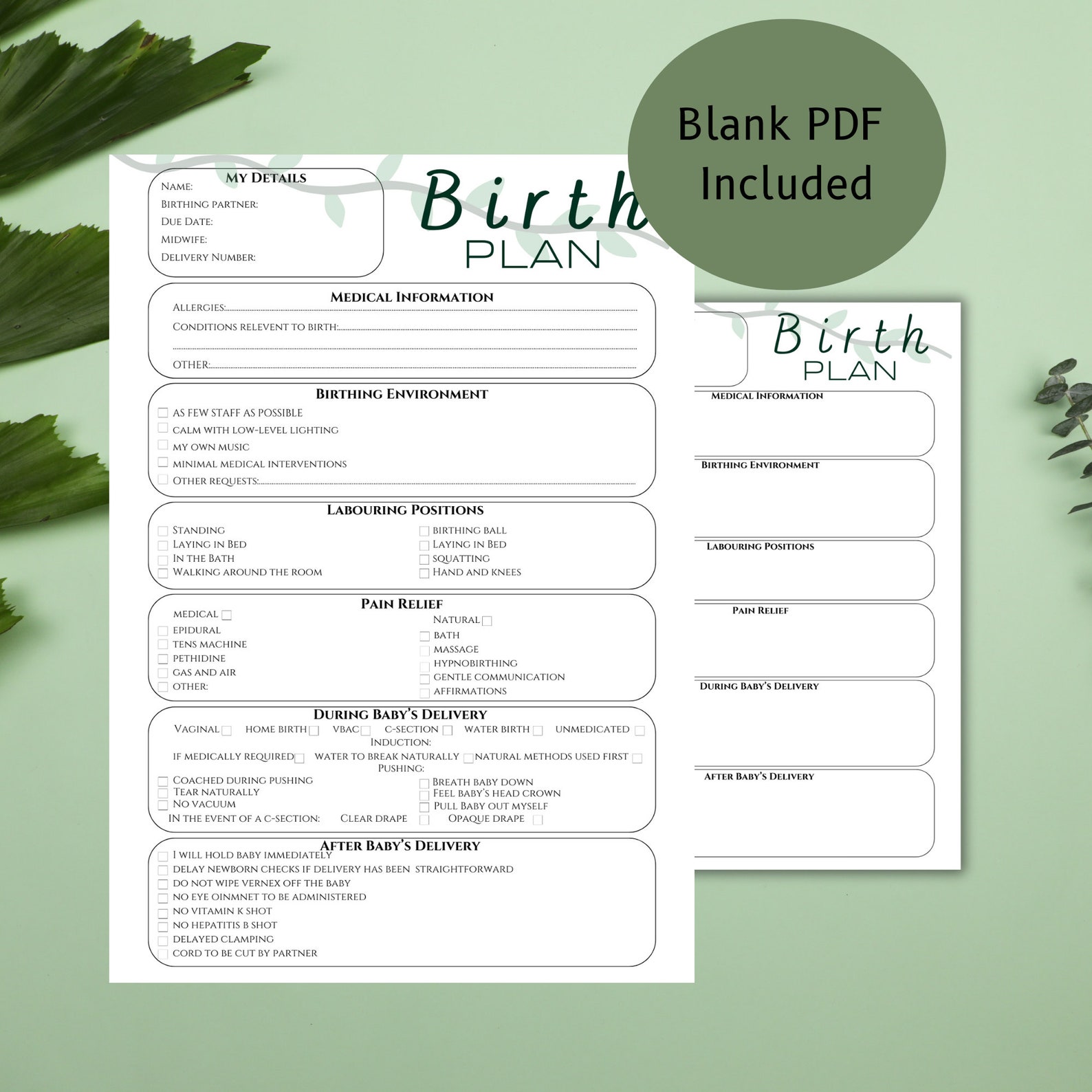Birth Plan Template Birth Preferences Editable Plan Template Sample ...