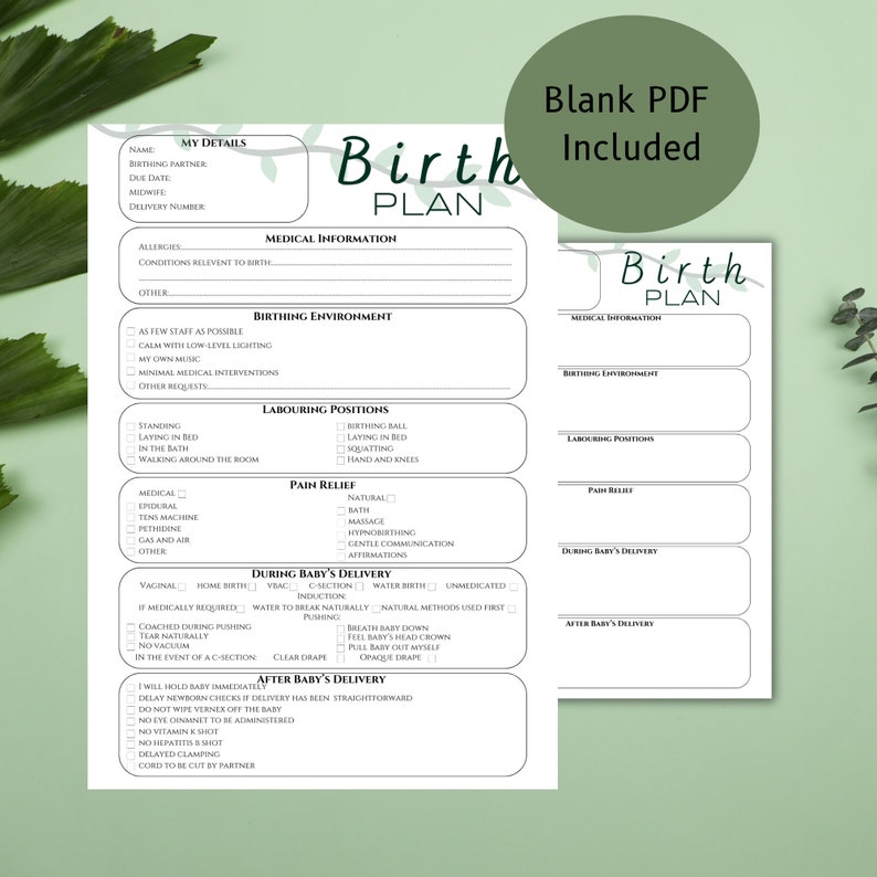 Birth Plan Template Birth Preferences Editable Plan Template Sample ...