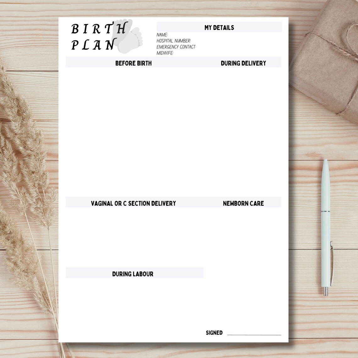 Editable Birth Plan Template Printable Birthing Planlabour - Etsy