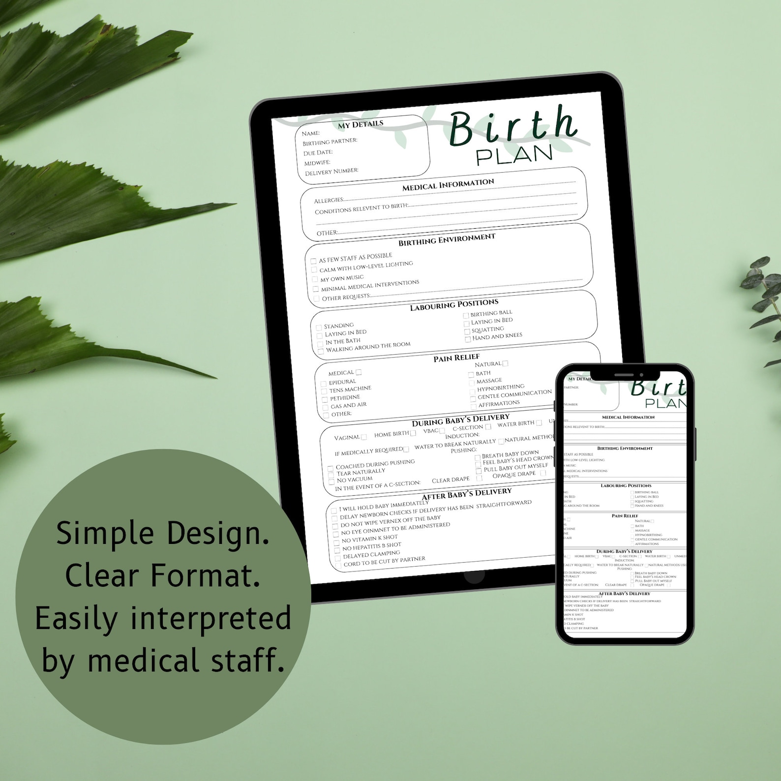 Birth Plan Template Birth Preferences Editable Plan Template Sample ...