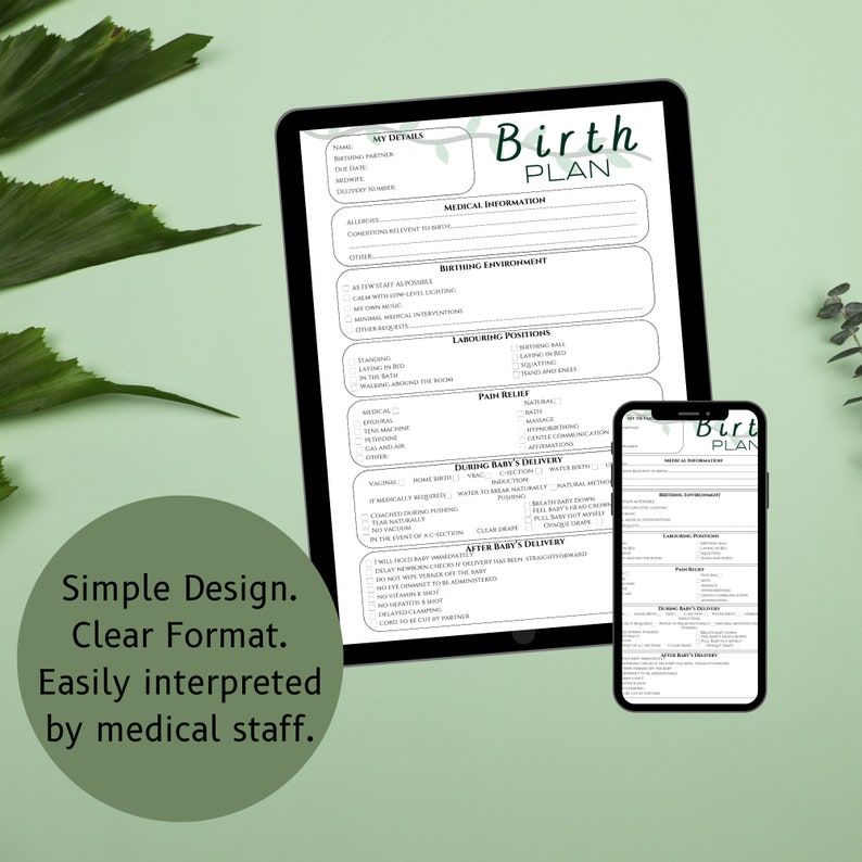 Birth Plan Template Birth Preferences Editable Plan Template Sample ...