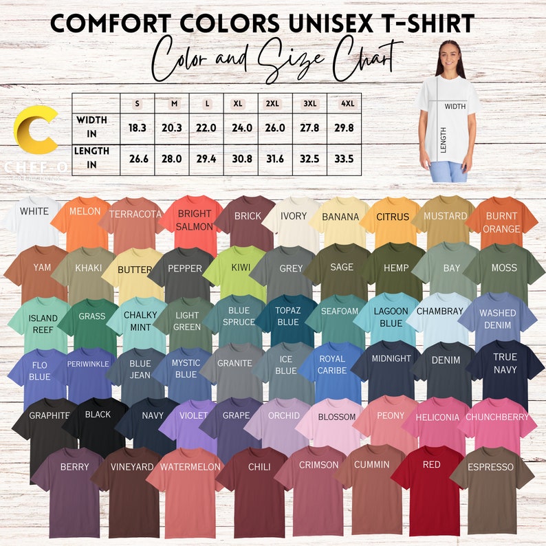 Les Misérables T-shirt: Victor Hugo Novel, Comfort Colors Tee - Etsy