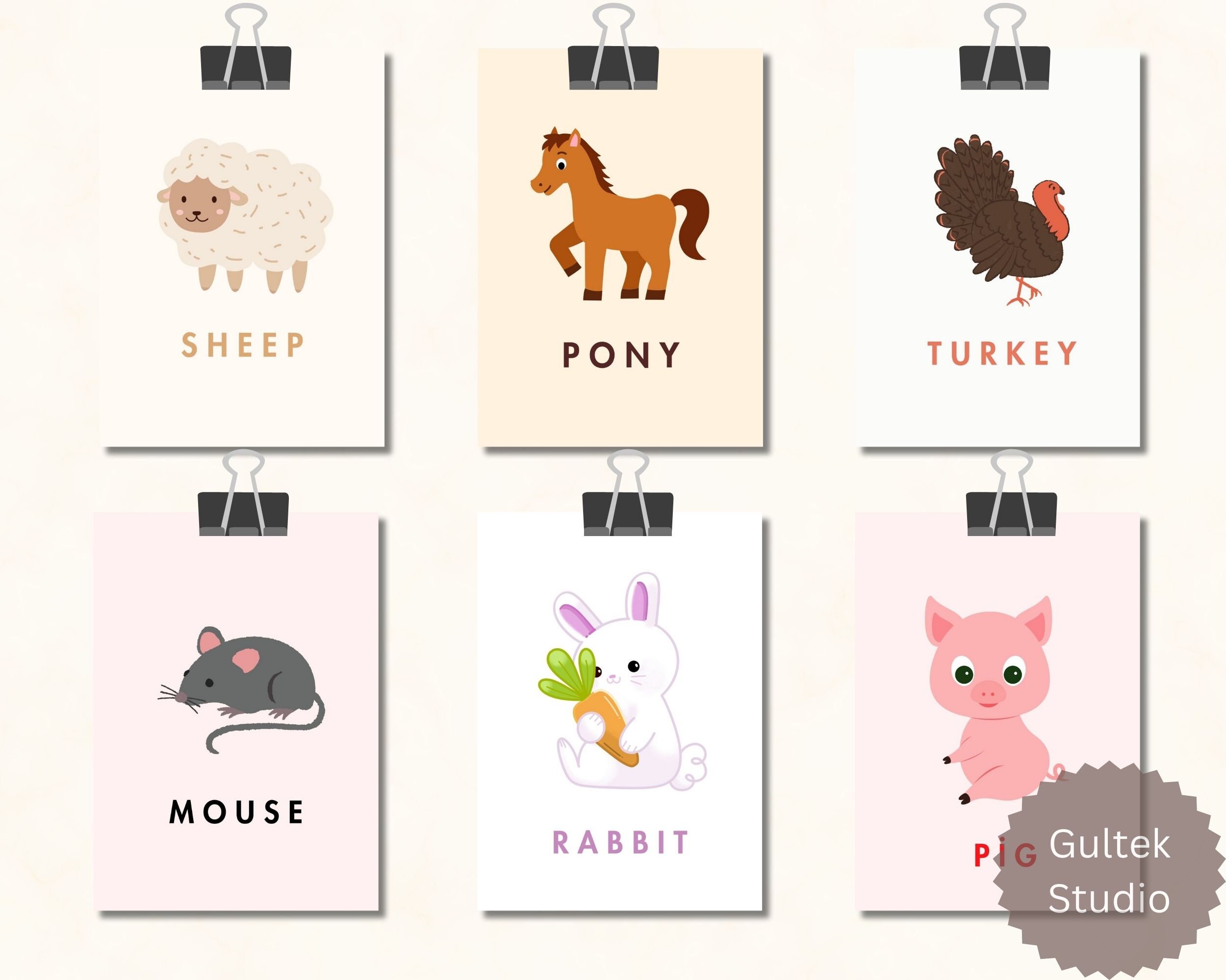 20 Farm Animals Cards Montessori Flash Cards Pre-school - Etsy