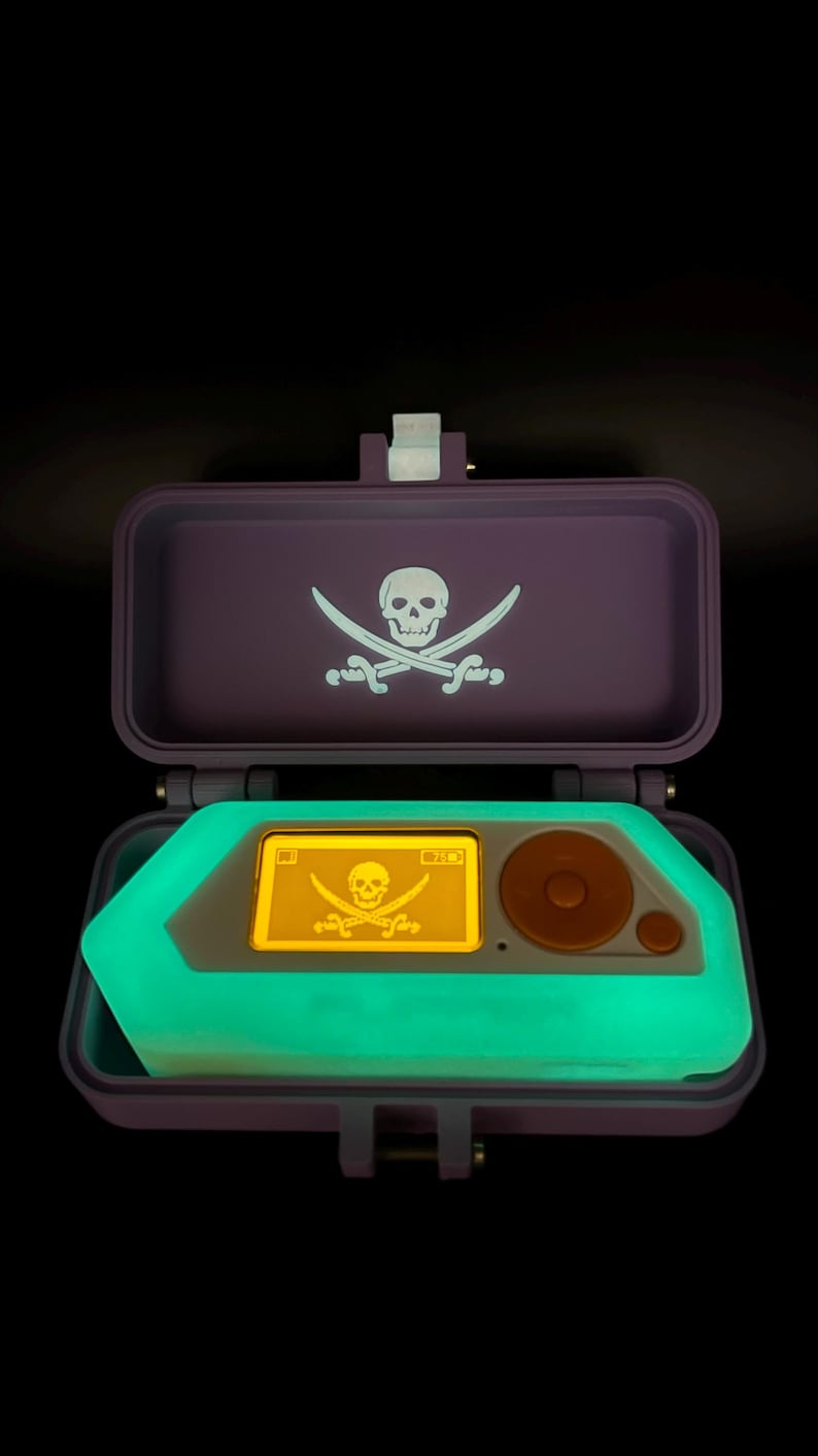Flipper Zero Travel Case Jolly Roger - Etsy