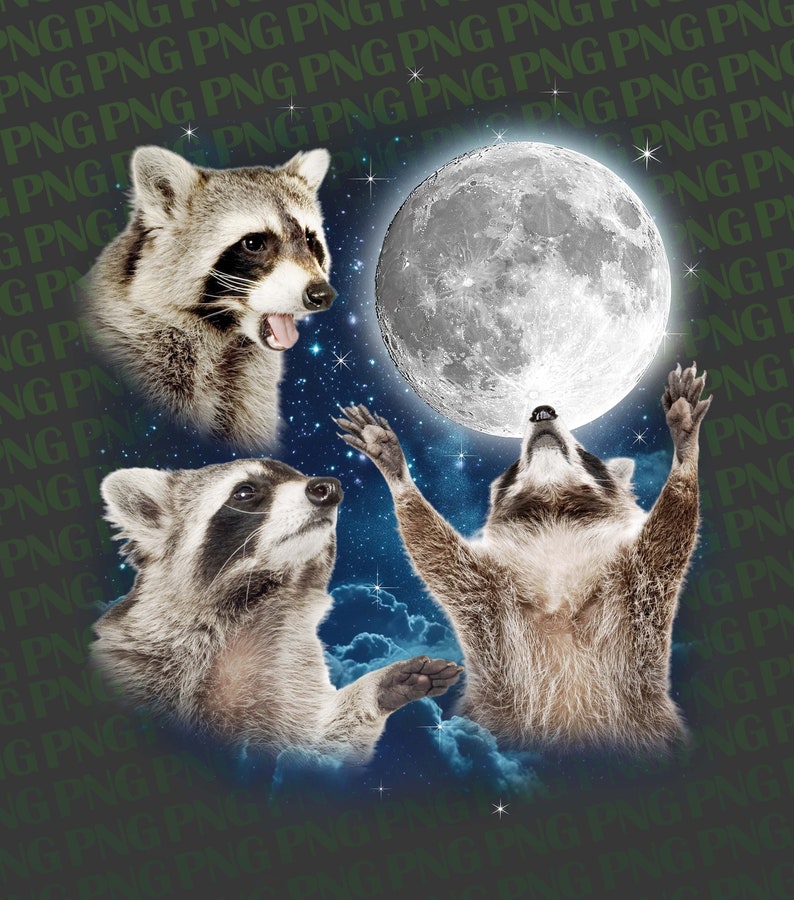 Raccoon PNG Files, Racoons Howling at the Moon Png, Funny Racoons Png ...