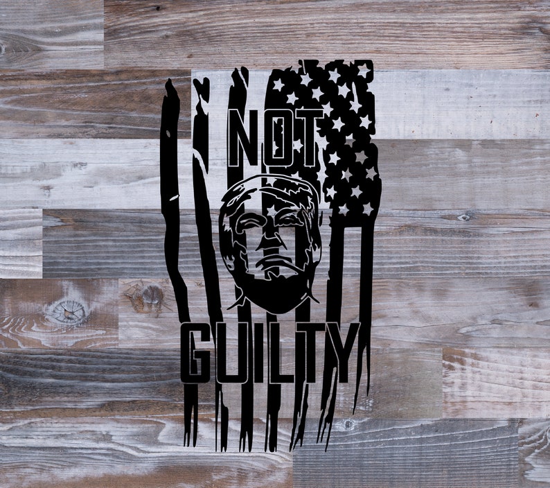 Trump Not Guilty PNG & SVG Trump Mugshot PNG Free Trump High - Etsy
