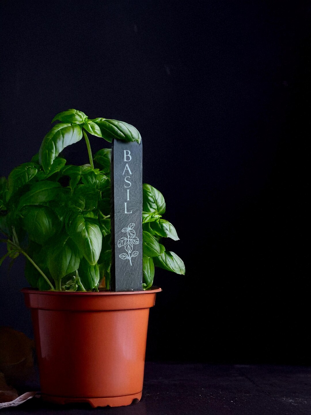 Engraved Slate Plant Markers – 6" Tall, Custom & Pre-labeled Garden ...