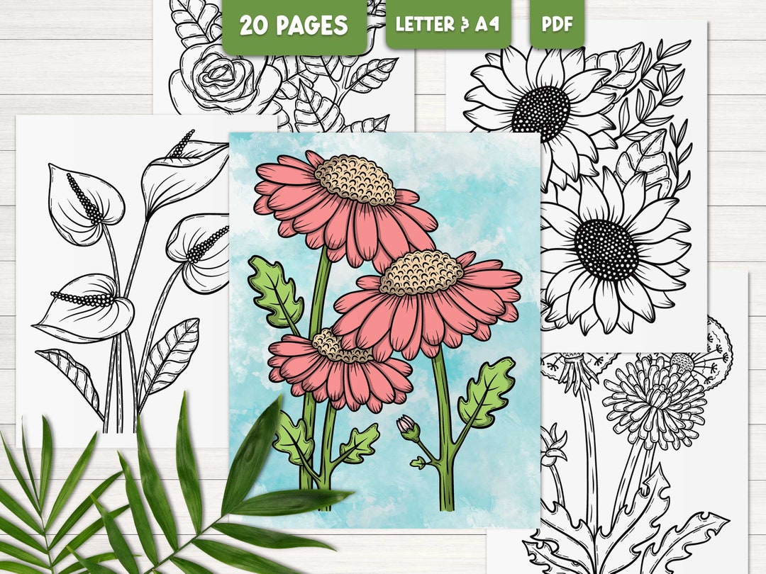 Flower Coloring Pages for Adults, Printable Floral Coloring Book ...