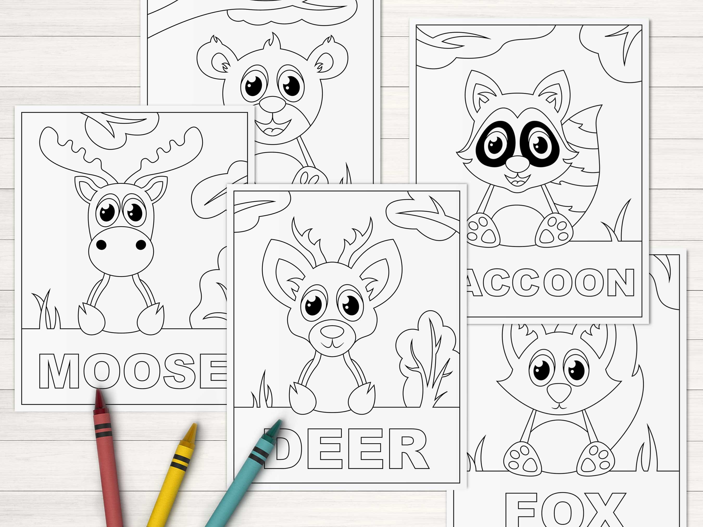 Woodland Animals Coloring Pages for Kids, Printable Forest Animals ...