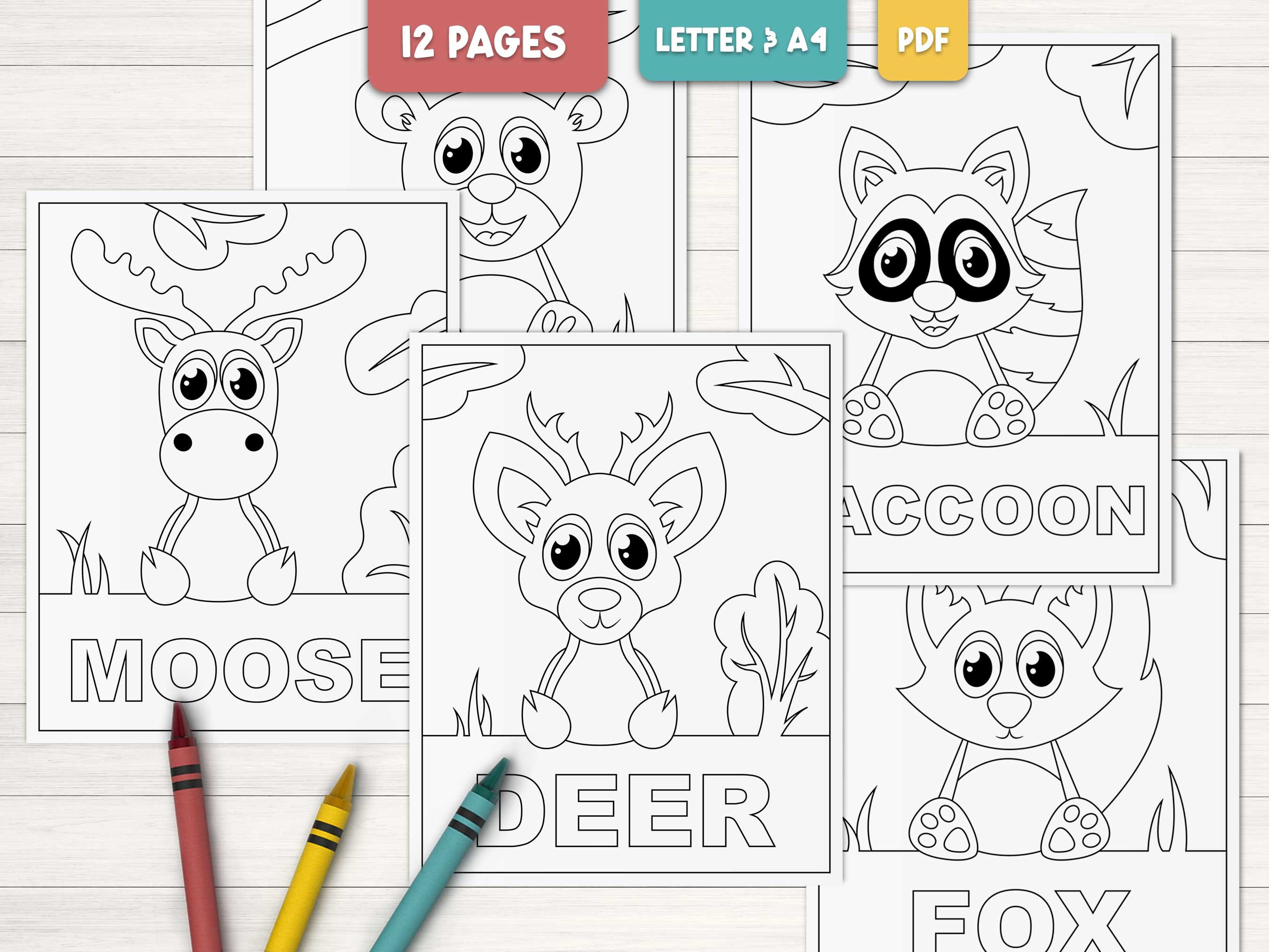 Woodland Animals Coloring Pages for Kids, Printable Forest Animals ...