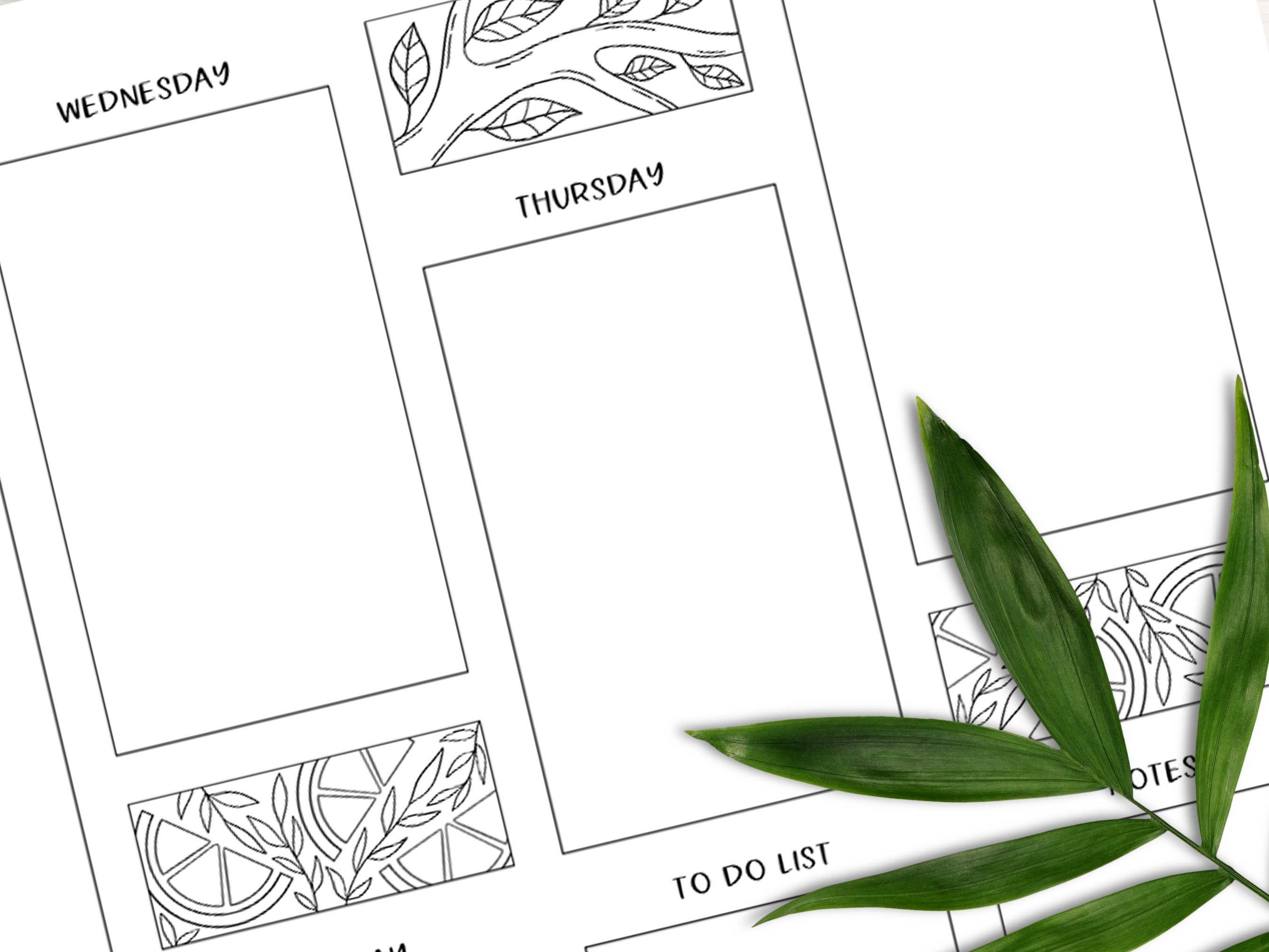 Printable Weekly Planner Landscape Coloring Planner - Etsy