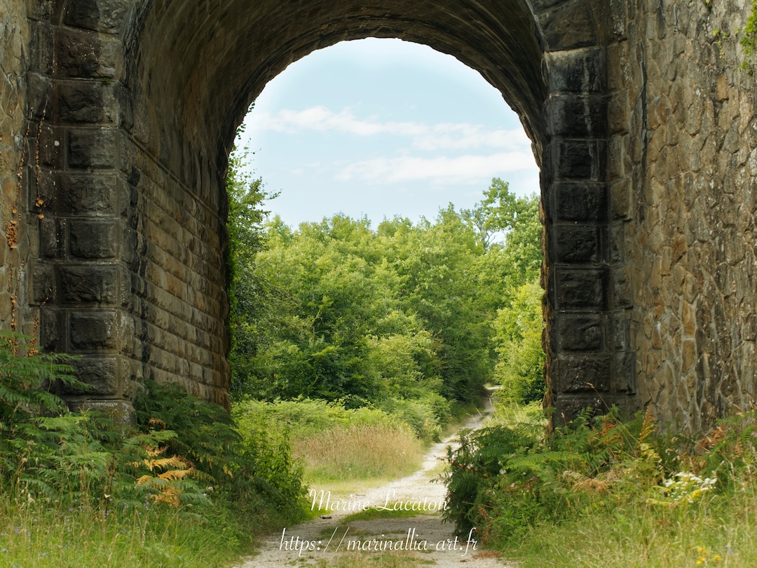 Arch in the Forest Printable Photography Landscape, Instant Download of ...