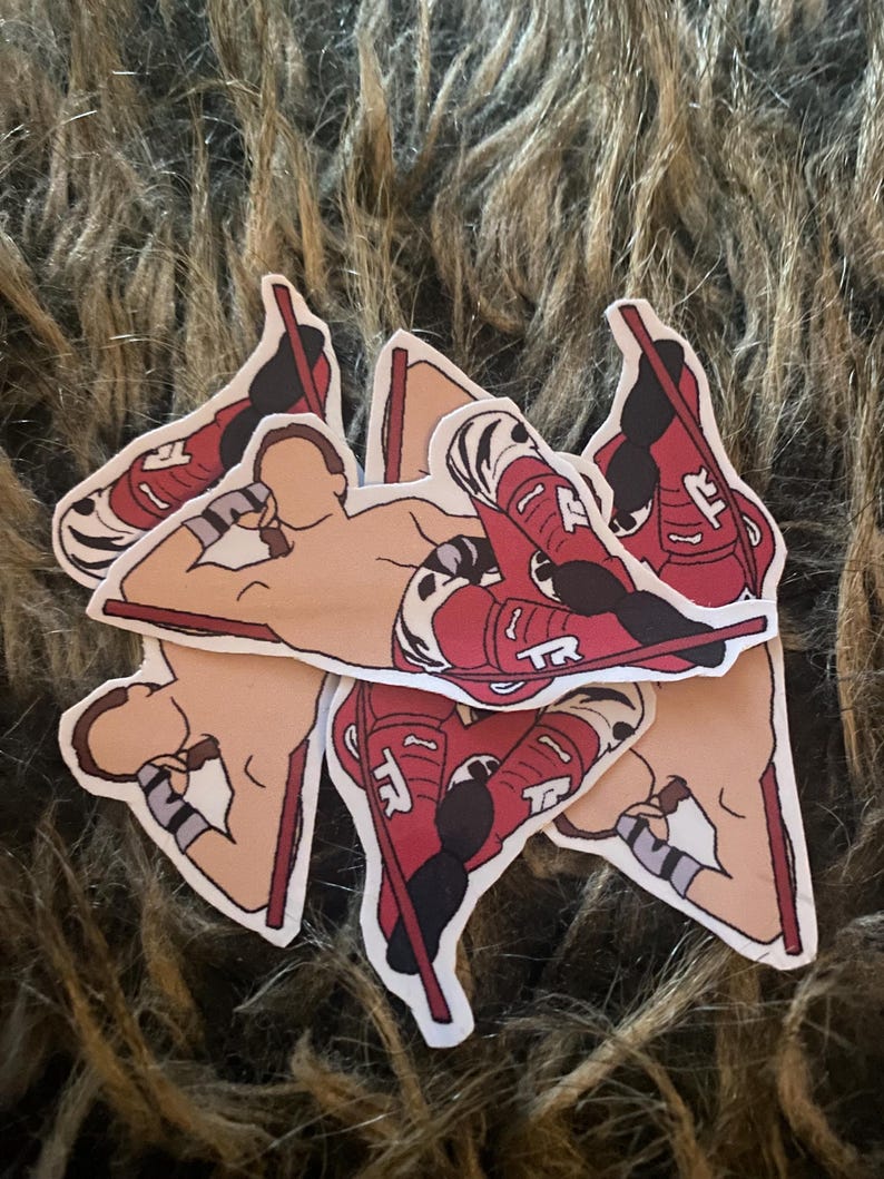 WWE Superstar Magnets Collection, Wrestling Champion Merch, Locker Room ...