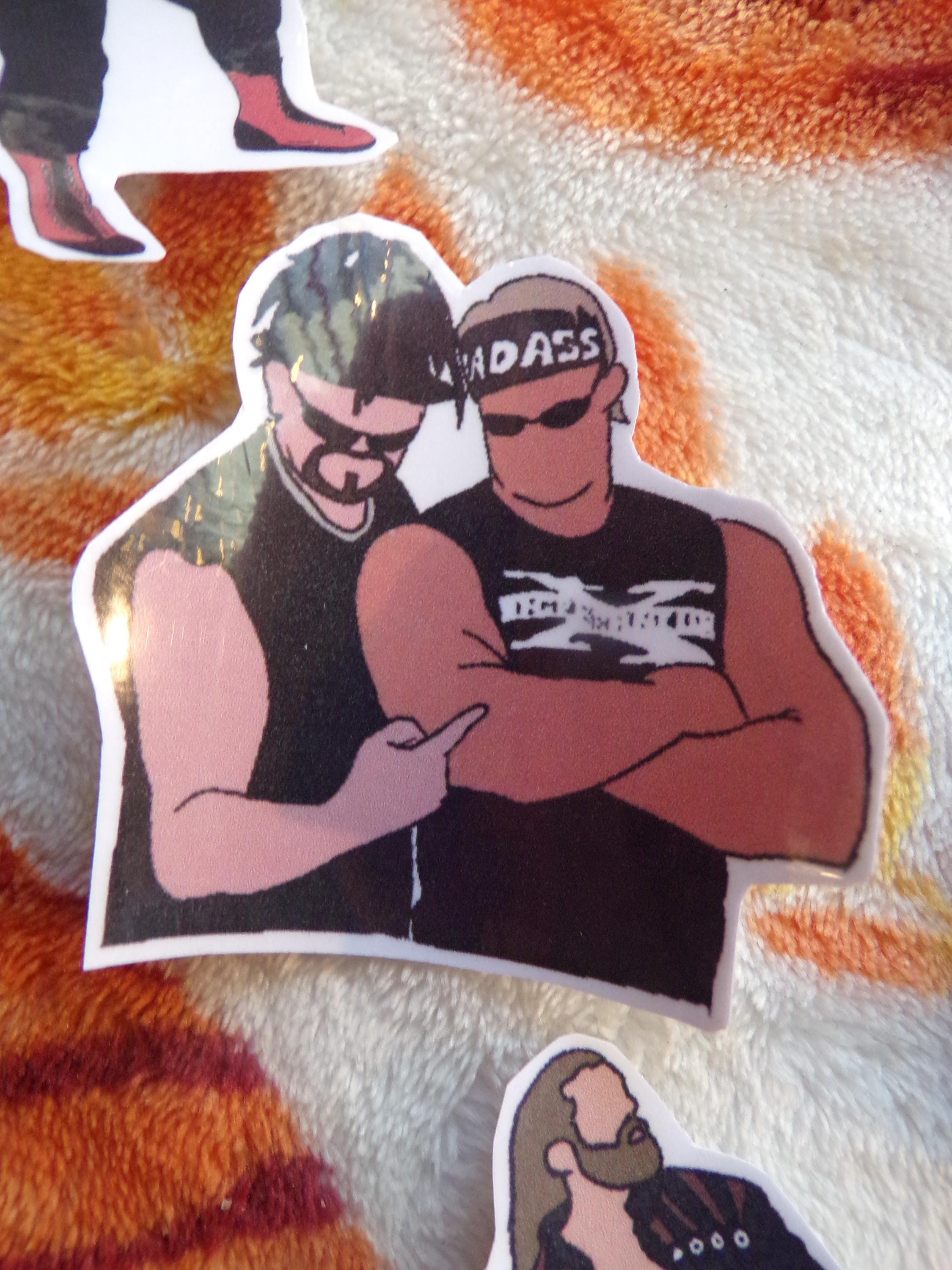WWE Superstar Stickers, Pro Wrestling Decals, WWE Fan Gift, Wrestler ...