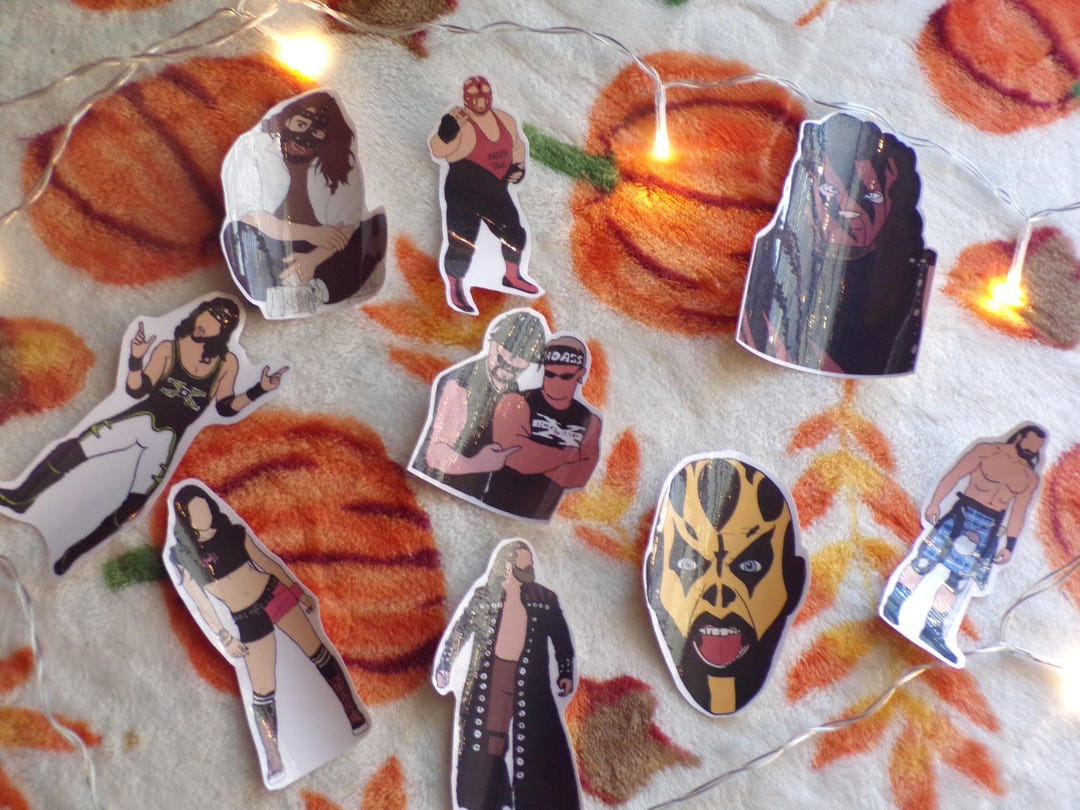 WWE Superstar Stickers, Pro Wrestling Decals, WWE Fan Gift, Wrestler ...