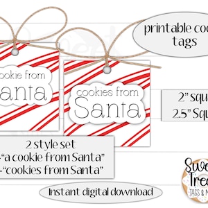 Printable Christmas Cookie Tag Set A Cookie From Santa Cookies From ...