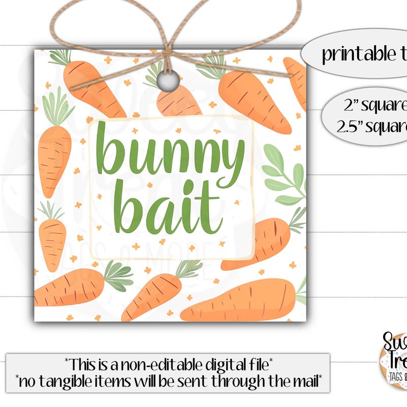 Goodie Bag Tags - Etsy