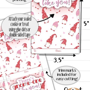 Printable Valentines Day Cookie Card - There's Gnome One Like You! - 3 ...