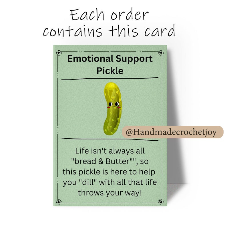 Tutorial Kit With Video Guide Kit PATTERN Only-emotional Support Pickle ...