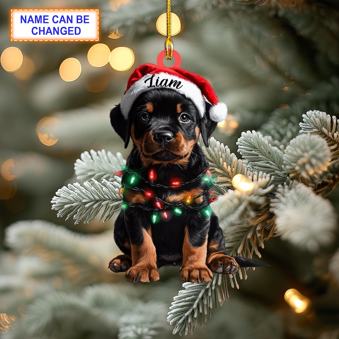 Custom Name Rottweiler Cute Dog With Santa Hat Christmas Lights ...