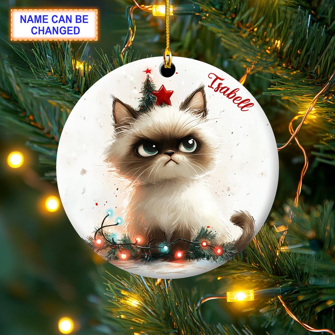 Custom Name Fluffy Himalayan Cat Grumpy Cat Christmas Lights Christmas ...