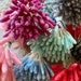 Vintage Mid Century Glass Ballotini Stamens - Etsy