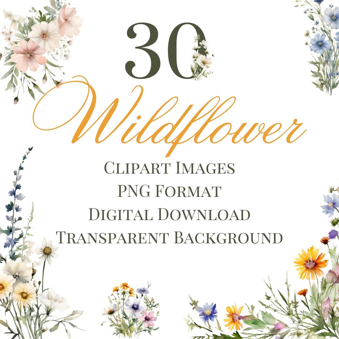Watercolor Wildflower Clipart Set: 30 PNG Floral Designs (digital ...