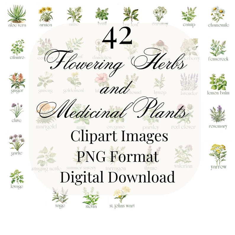 Herb Garden Clipart, Spring Summer Garden Floral PNG, Seed Packets ...
