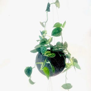 Bella - the Minimalist Wirerope Pot Hanger - Etsy