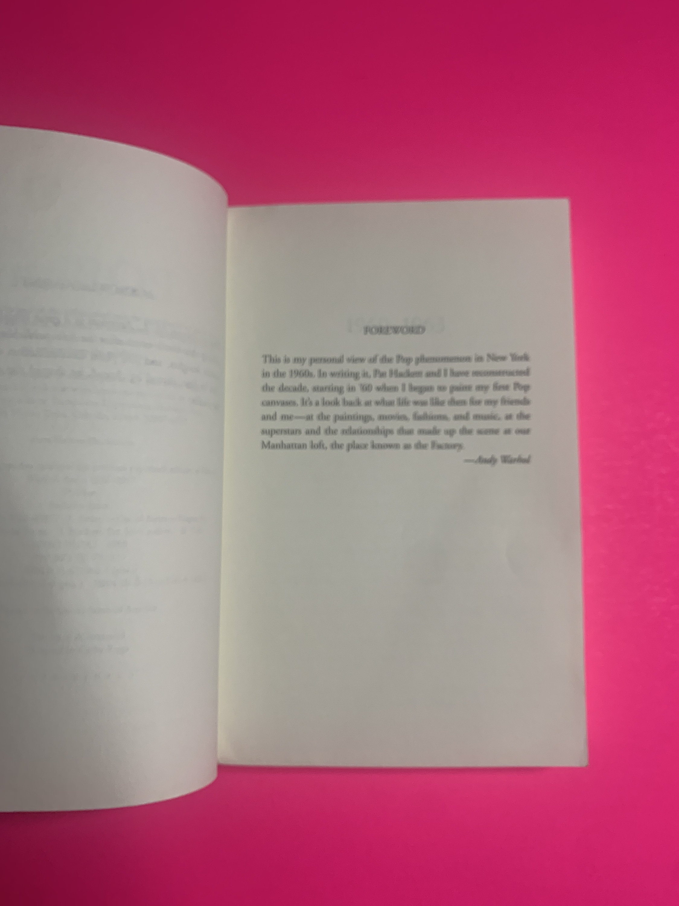 Popism: the Warhol Sixties by Andy Warhol and Pat Hackett - Etsy