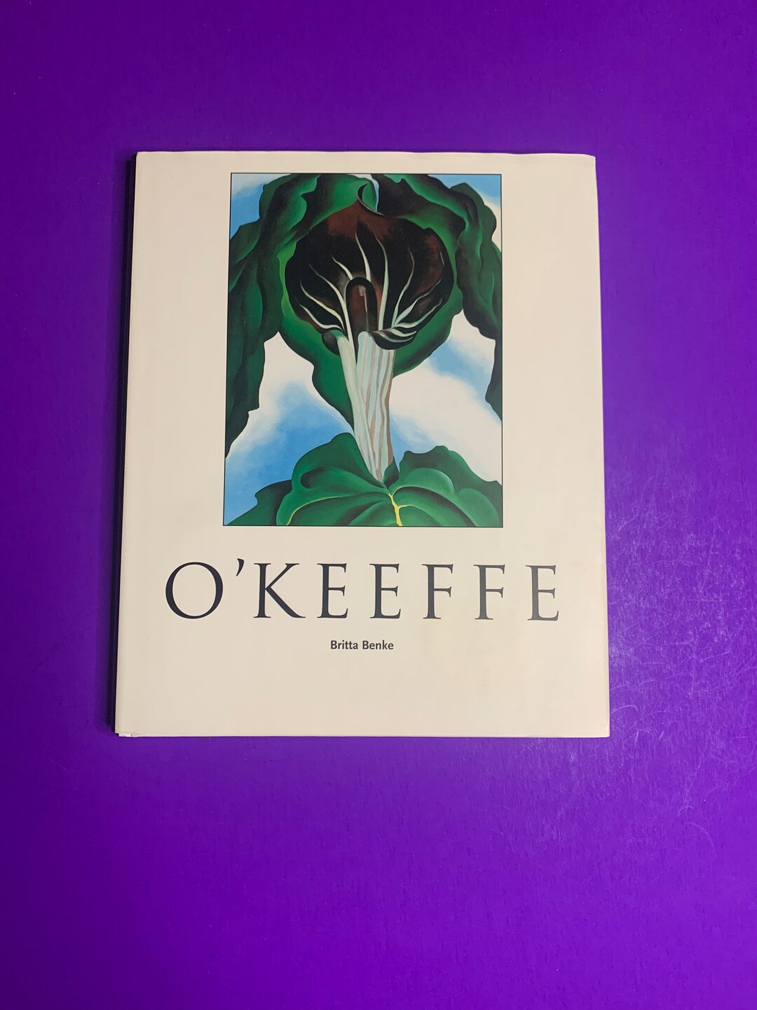 Georgia Okeeffe: 1887-1986 Flowers in the Desert 2001 First - Etsy