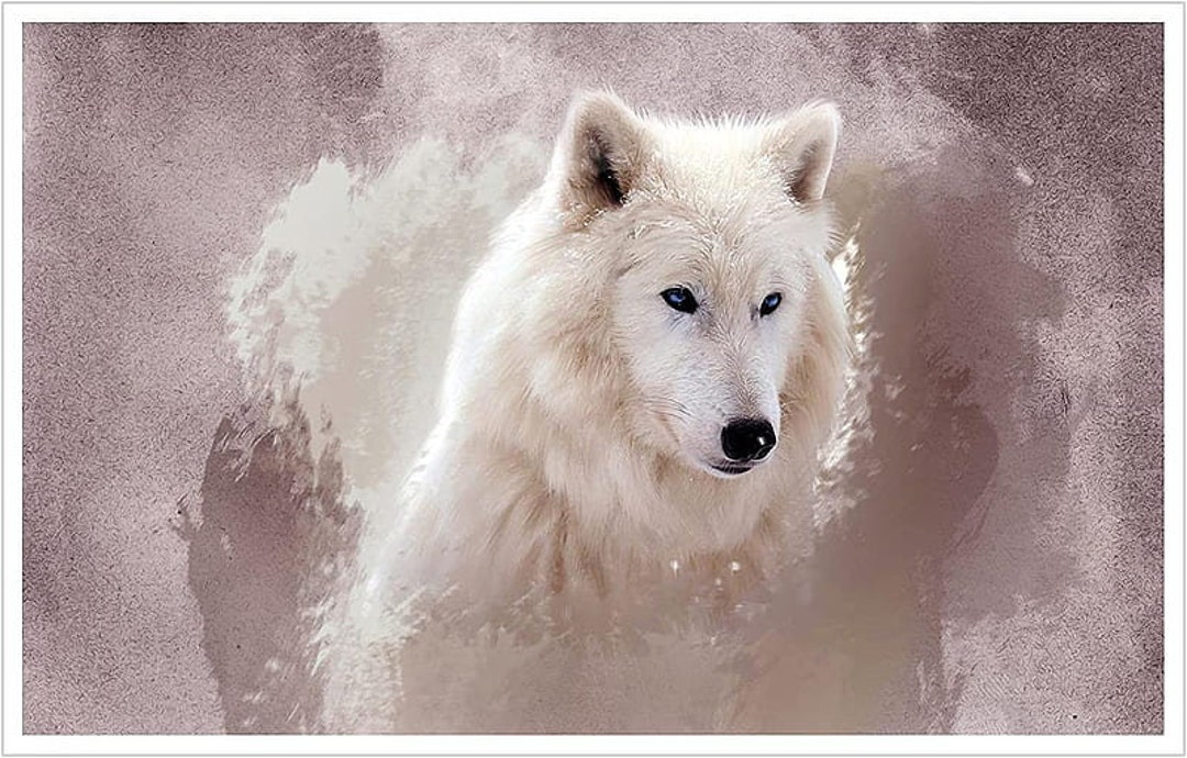 Arctic Wolf Digital Print - Etsy