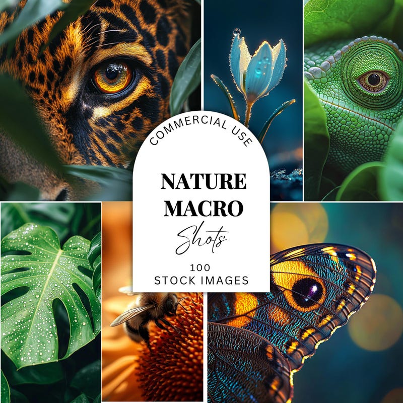 Macro Photography Leaves - Etsy