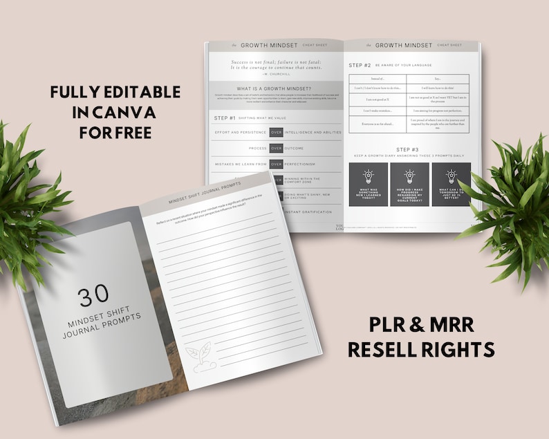 Mindset Shift Journal With Master Resell Rights, Life Coach Lead Magnet ...
