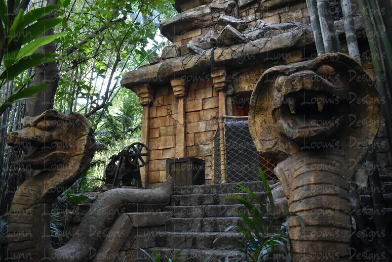 Disneyland Indiana Jones Ride Photo Digital Download - Etsy