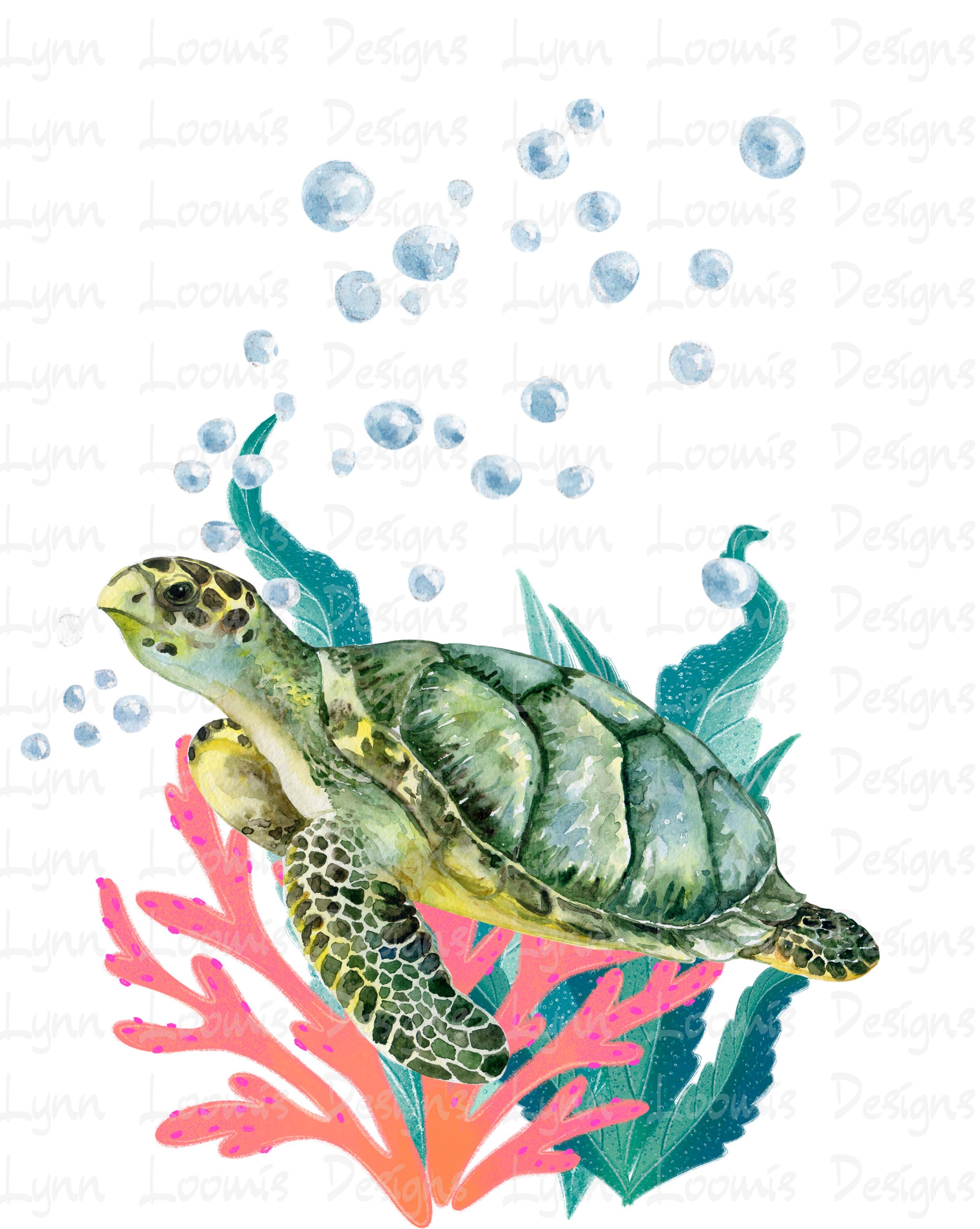 Turtle Clipart Creation Digital Download, Ocean Turtle With Coral and ...