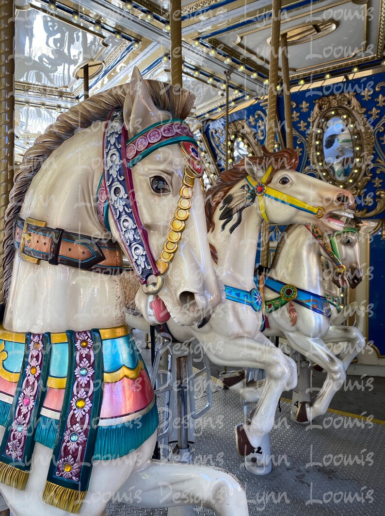 Carousel Horses Digital Download, Dollywood Carousel - Etsy