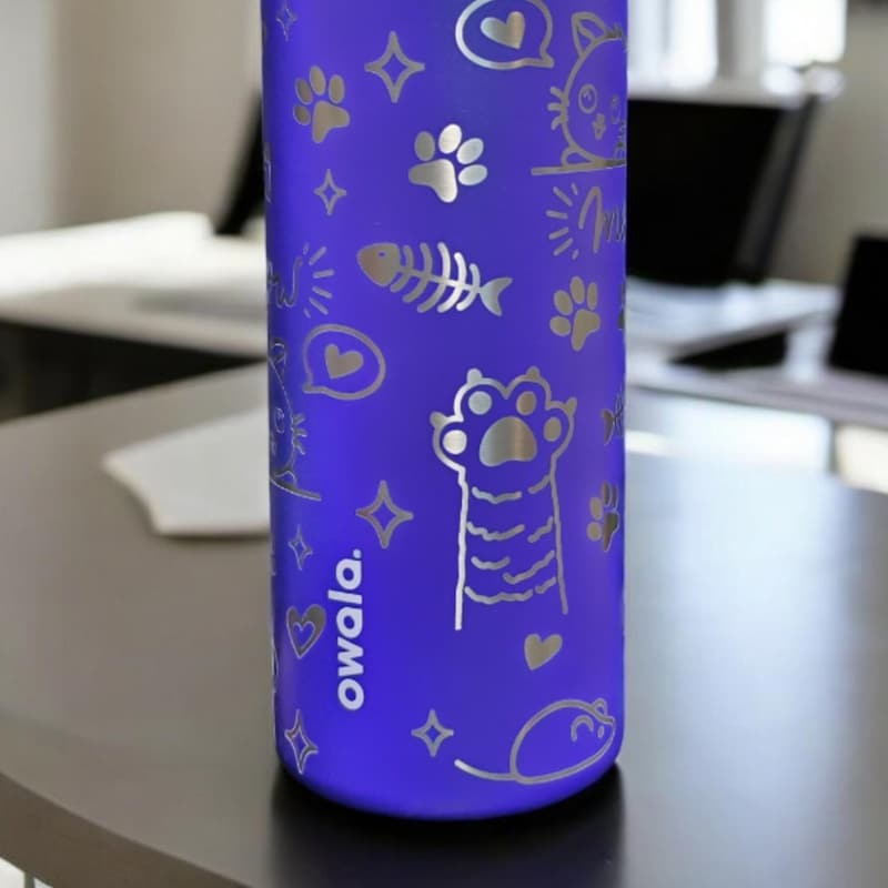 Owala Cat Water Bottle - Etsy