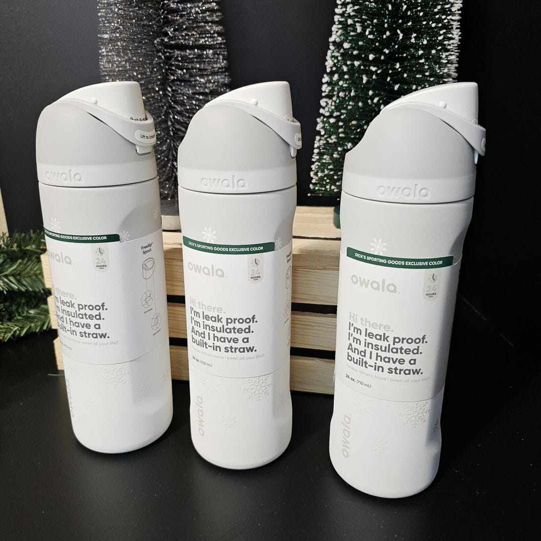 Buy Owala Snowed in Water Bottle: 24 Oz Bpa-free Leak Proof Flip Cap ...