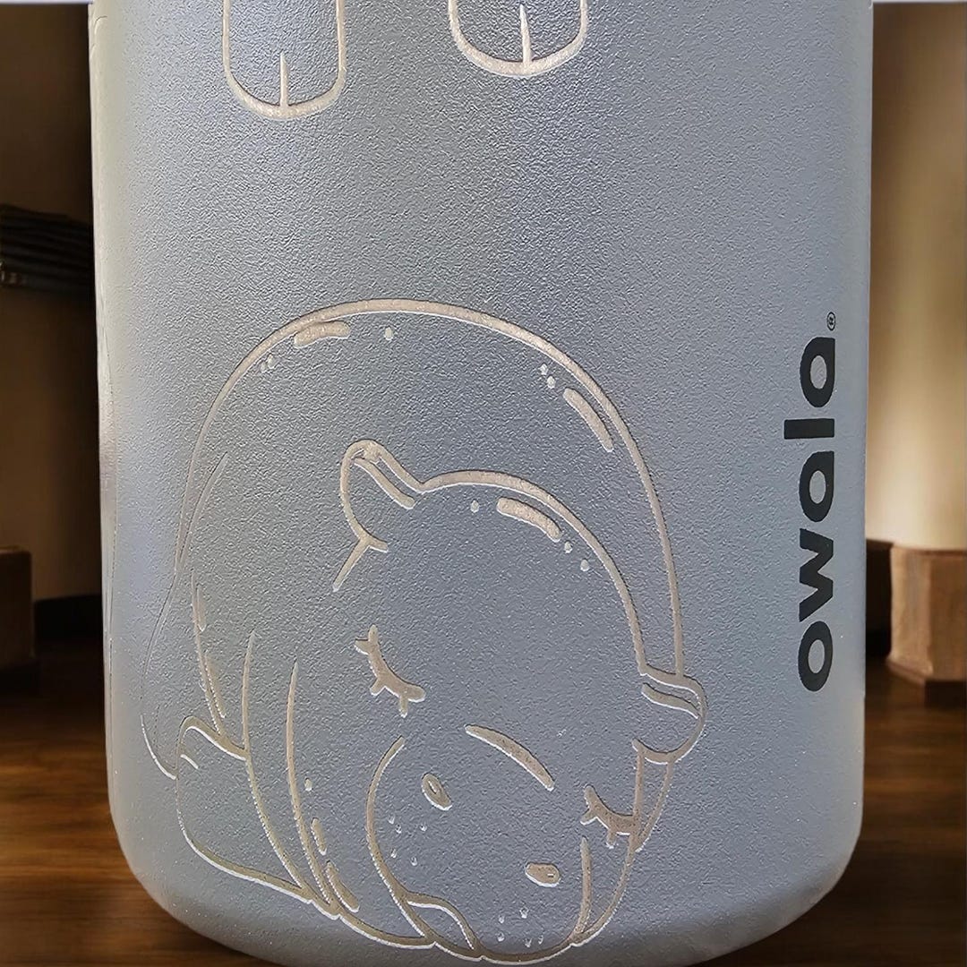 Hippo Laser Engraved Owala 24 and 32 Oz Bottle | Hippo Design | Fun ...