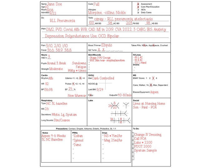 Nursing Report Sheet for MS or IMC, Telemetry, Brain, Digital Download ...